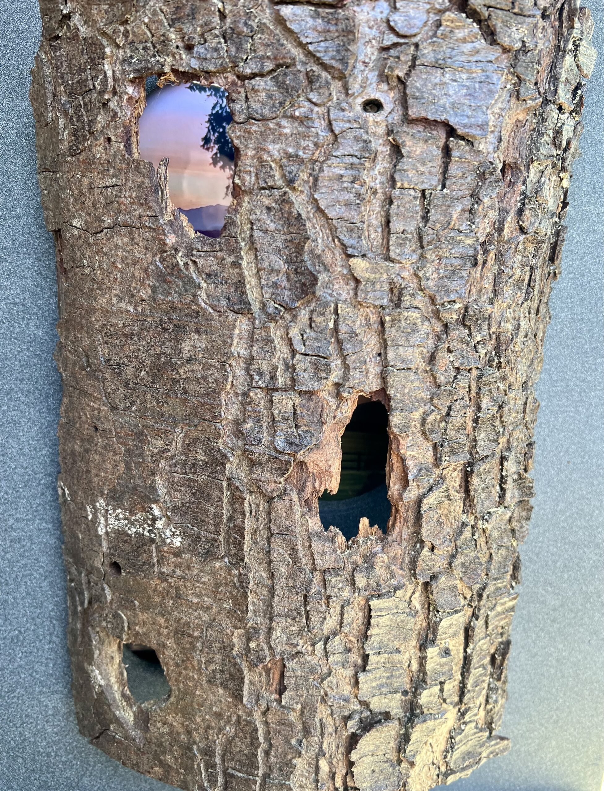 Erin Marie Art-Craft – Small Craft Advisory